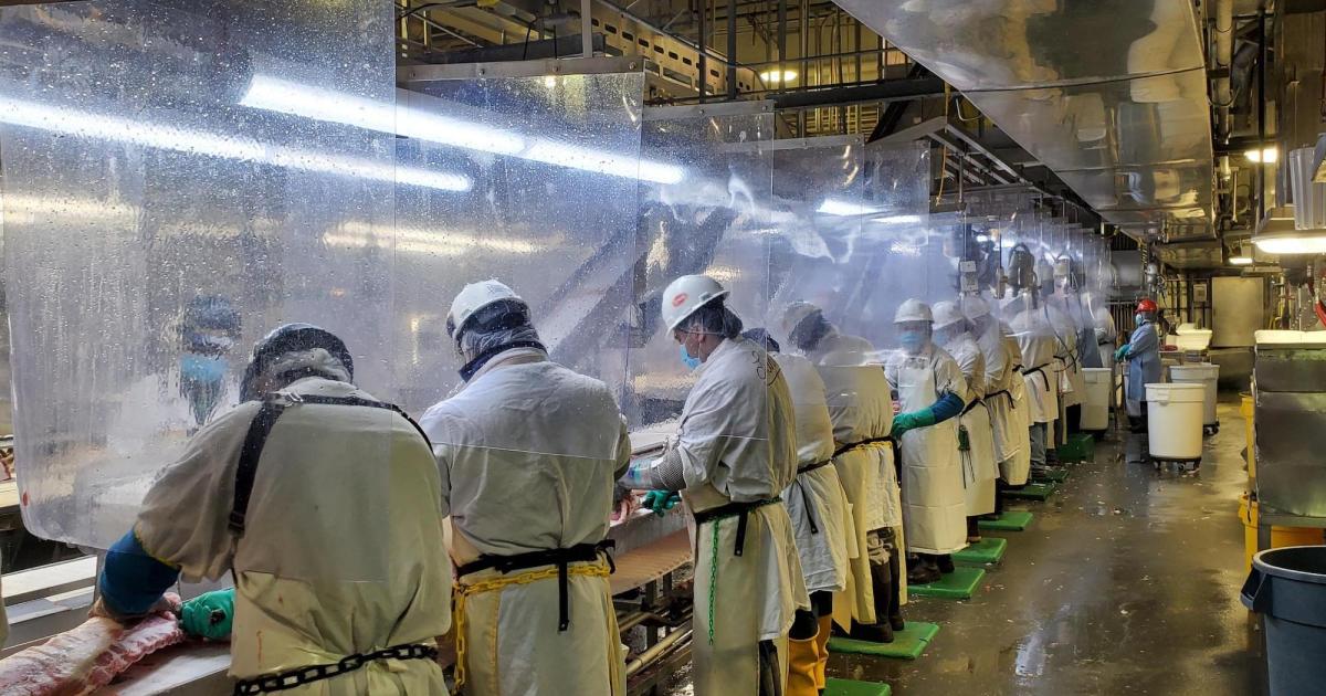 Why Do Meatpacking Workers Face Such Gruesome Conditions? – NewsmakersLive