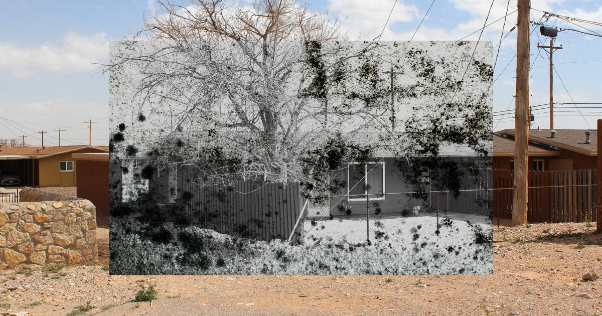 From Toxic Mold to Fraud: How Privatizing Military Housing Became a ...